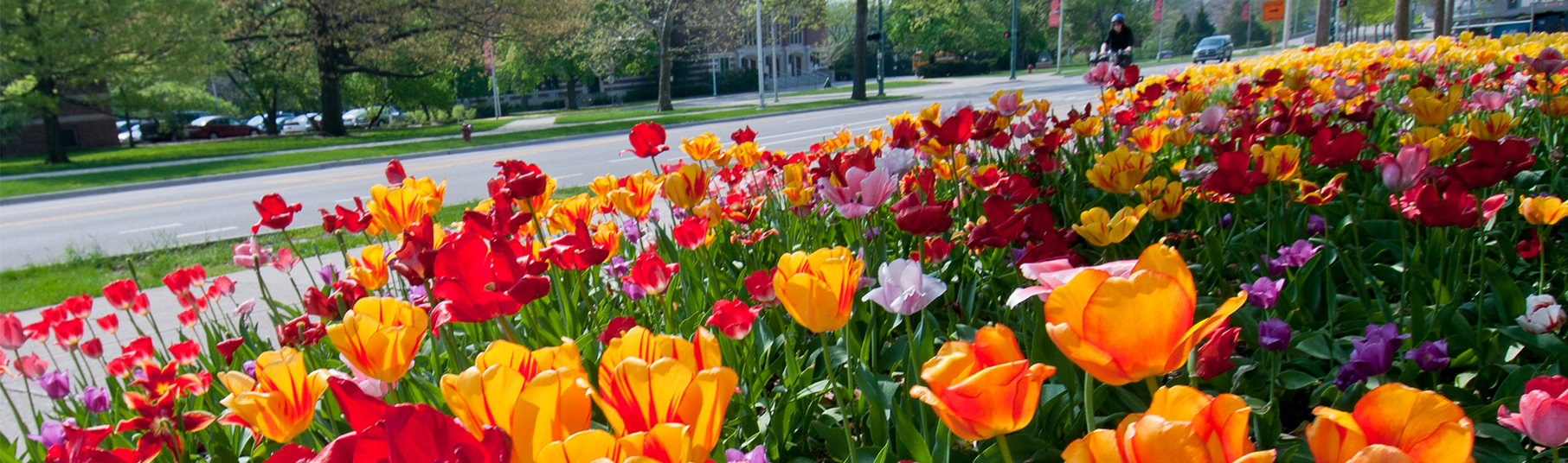 MSU Human Resources Homepage